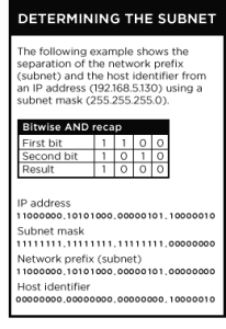 The Difference Between VLANs and Subnets - Component